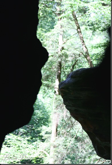 Nature's Scenic View: Rock House State Park